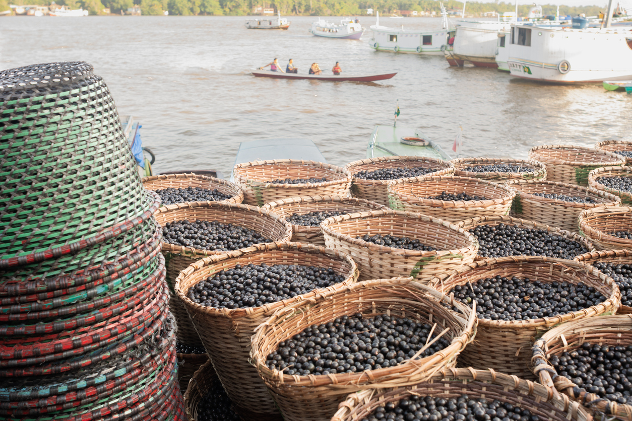 Tendências atuais no mercado de açaí para empreendedores